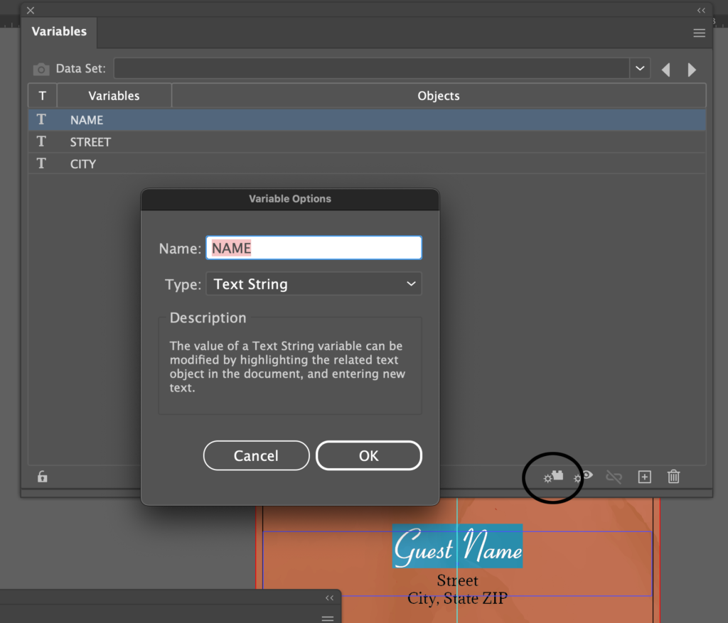 How to Use Variable Data in Adobe Illustrator - SteveZ DesignZ